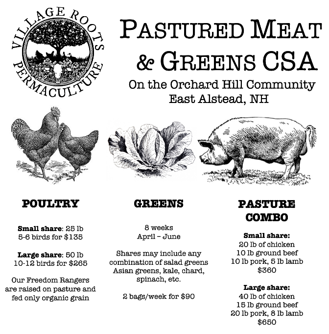 Village Roots Permaculture